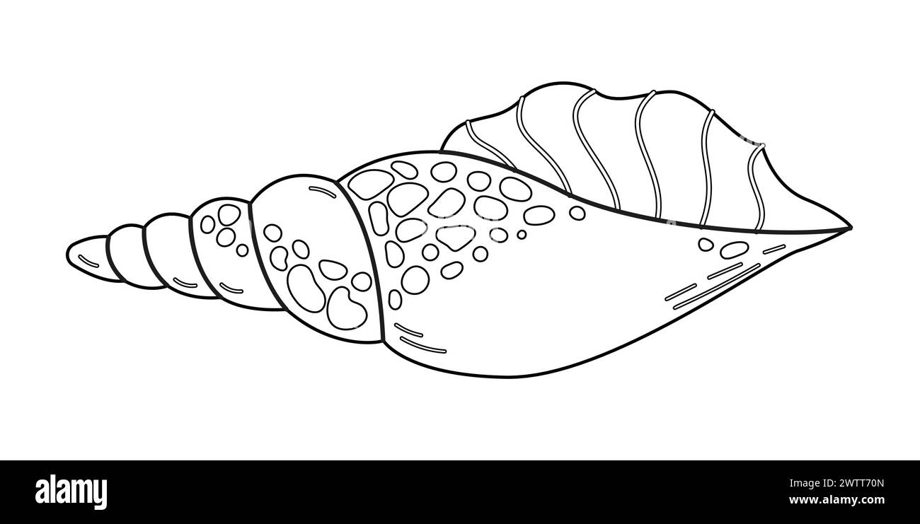 Seashell vector illustration. Black and white outline Seashell Coloring ...
