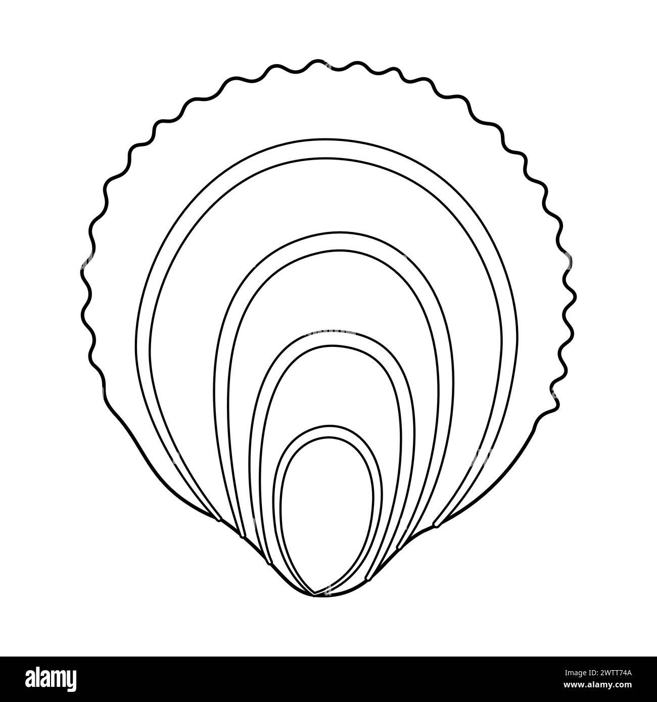 Seashell vector illustration. Black and white outline Seashell Coloring ...