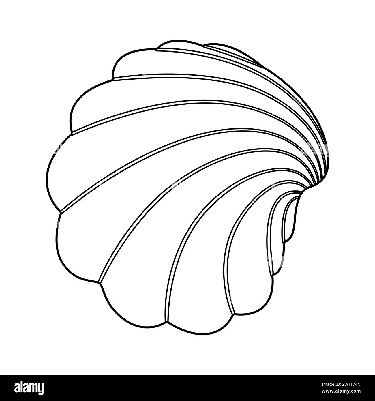 Seashell vector illustration. Black and white outline Seashell Coloring ...