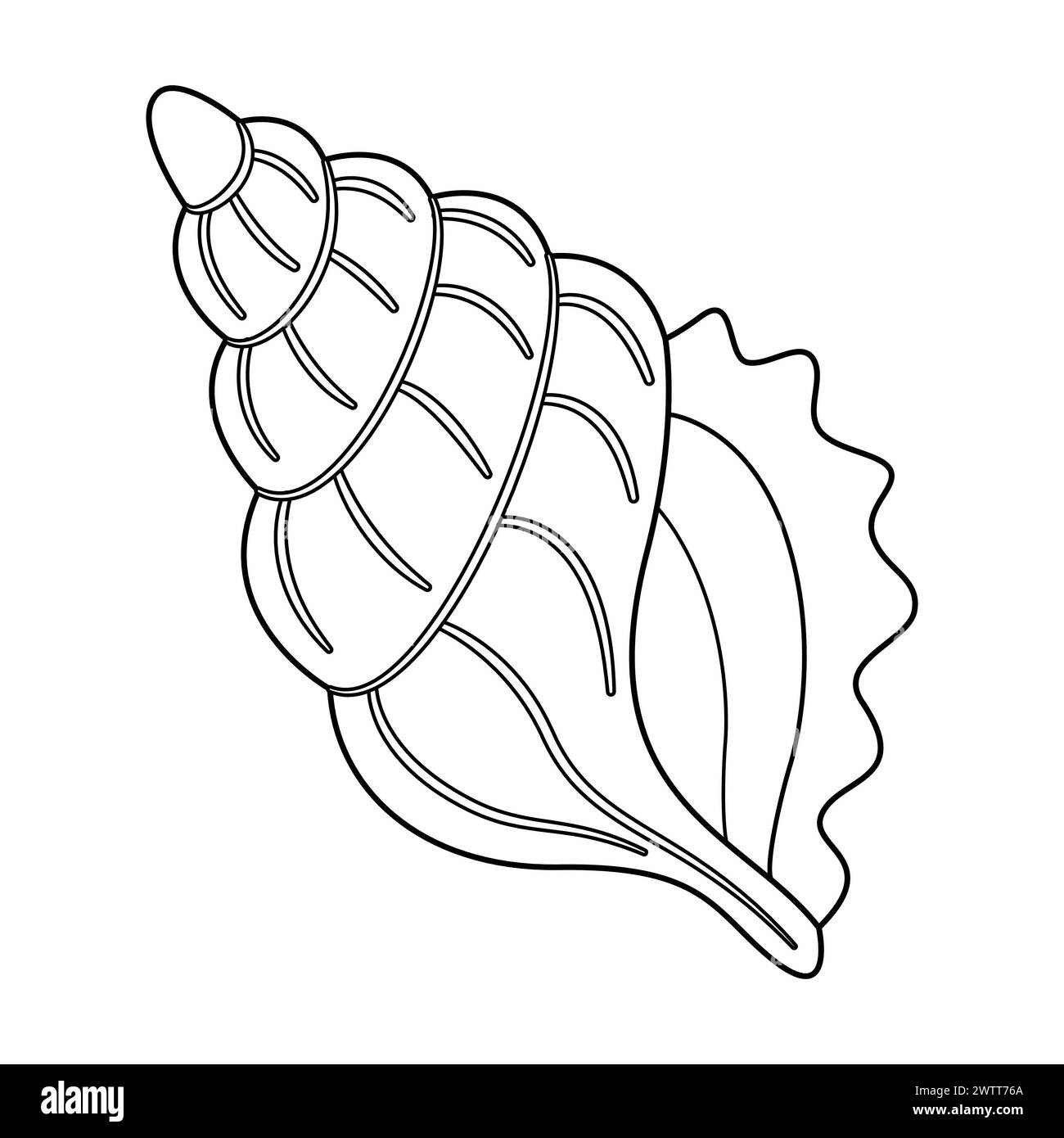 Seashell vector illustration. Black and white outline Seashell Coloring ...