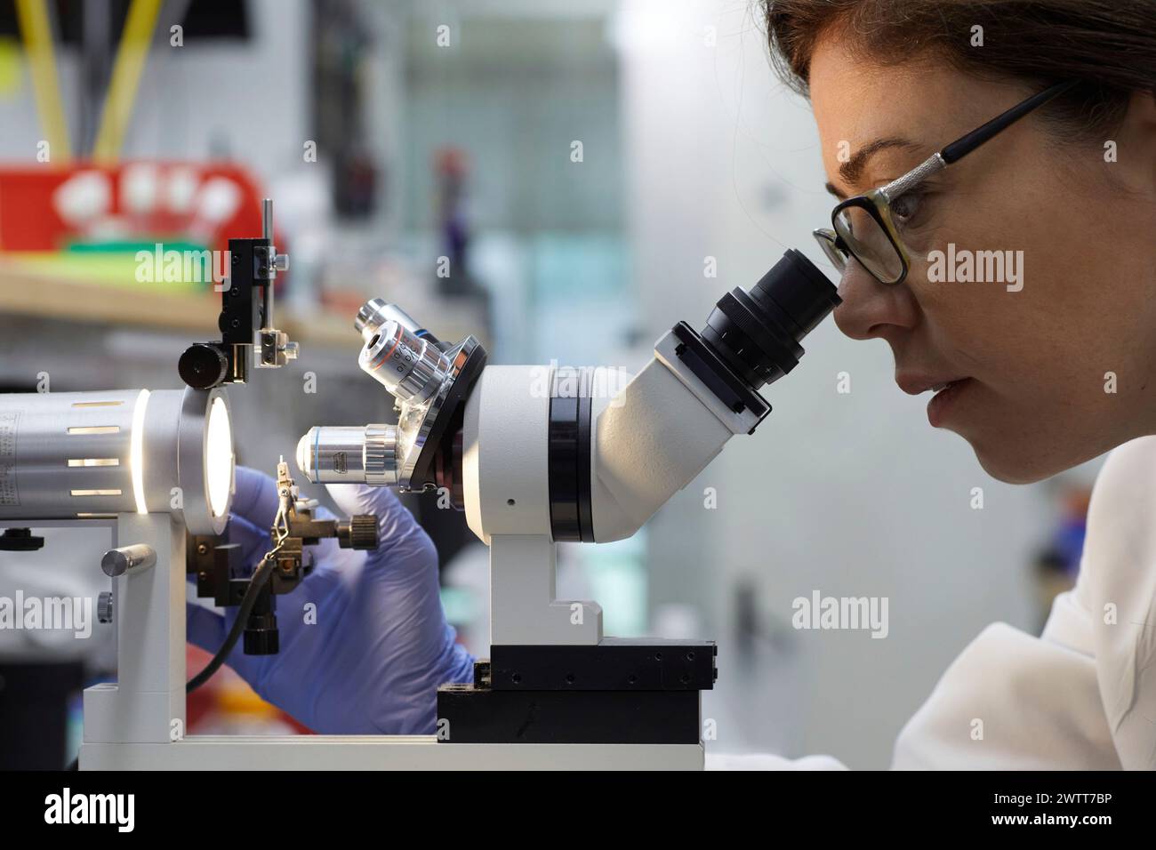 Medical researcher using microscope hi-res stock photography and images ...