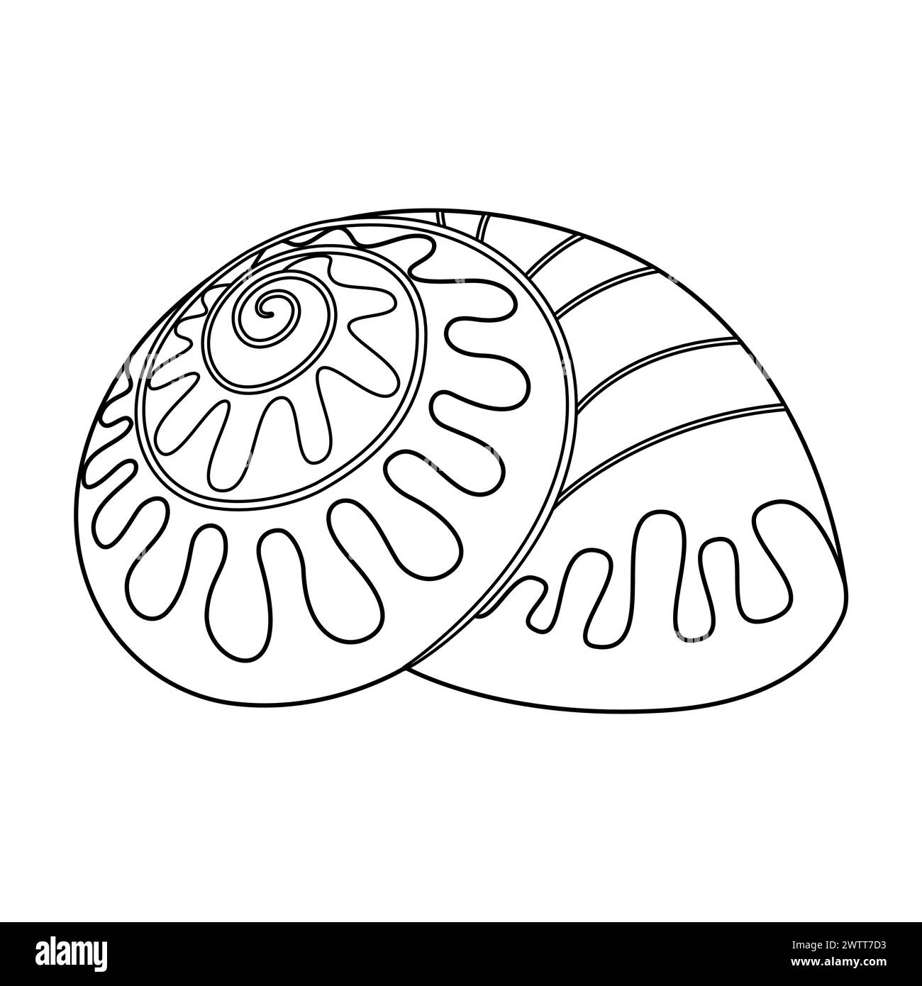 Seashell vector illustration. Black and white outline Seashell Coloring ...