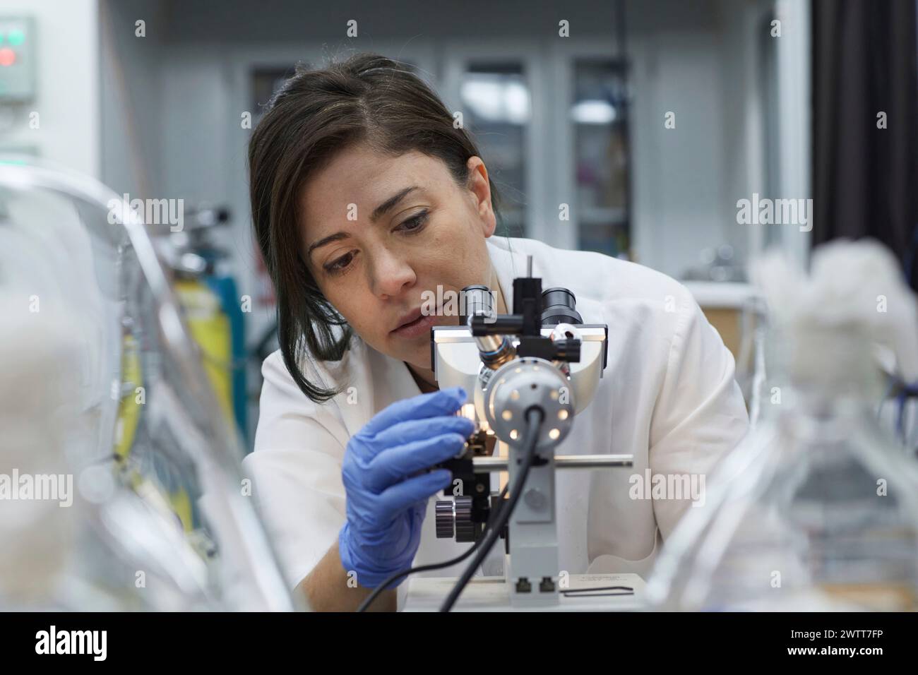 Attractive female scientist testing using microscope to test for dna ...