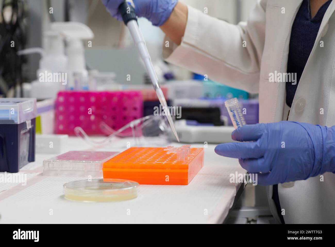 Attractive female scientist testing using test tube blood and peppet ...