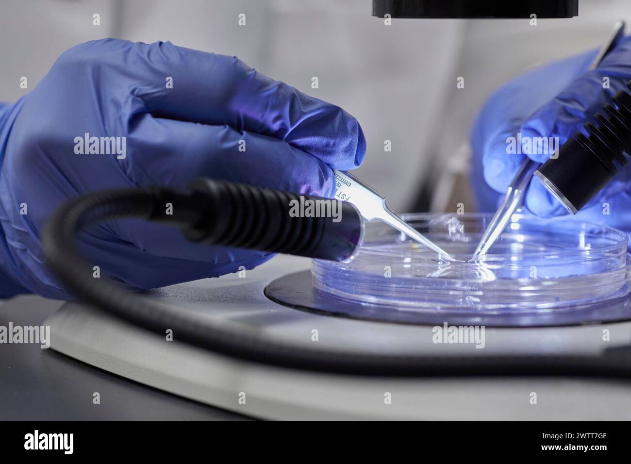 Attractive female scientist testing using test tube blood and peppet ...