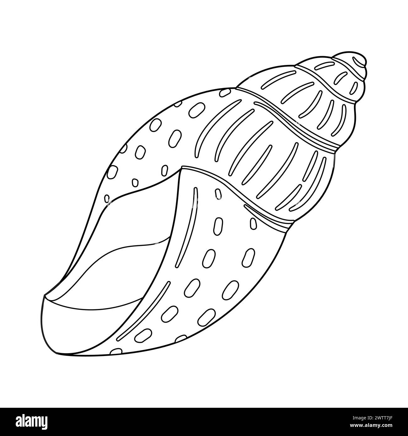 Seashell vector illustration. Black and white outline Seashell Coloring ...