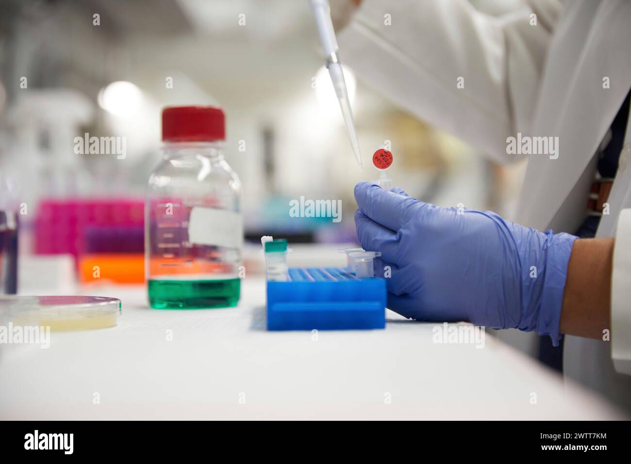 Attractive female scientist testing using test tube blood and peppet ...