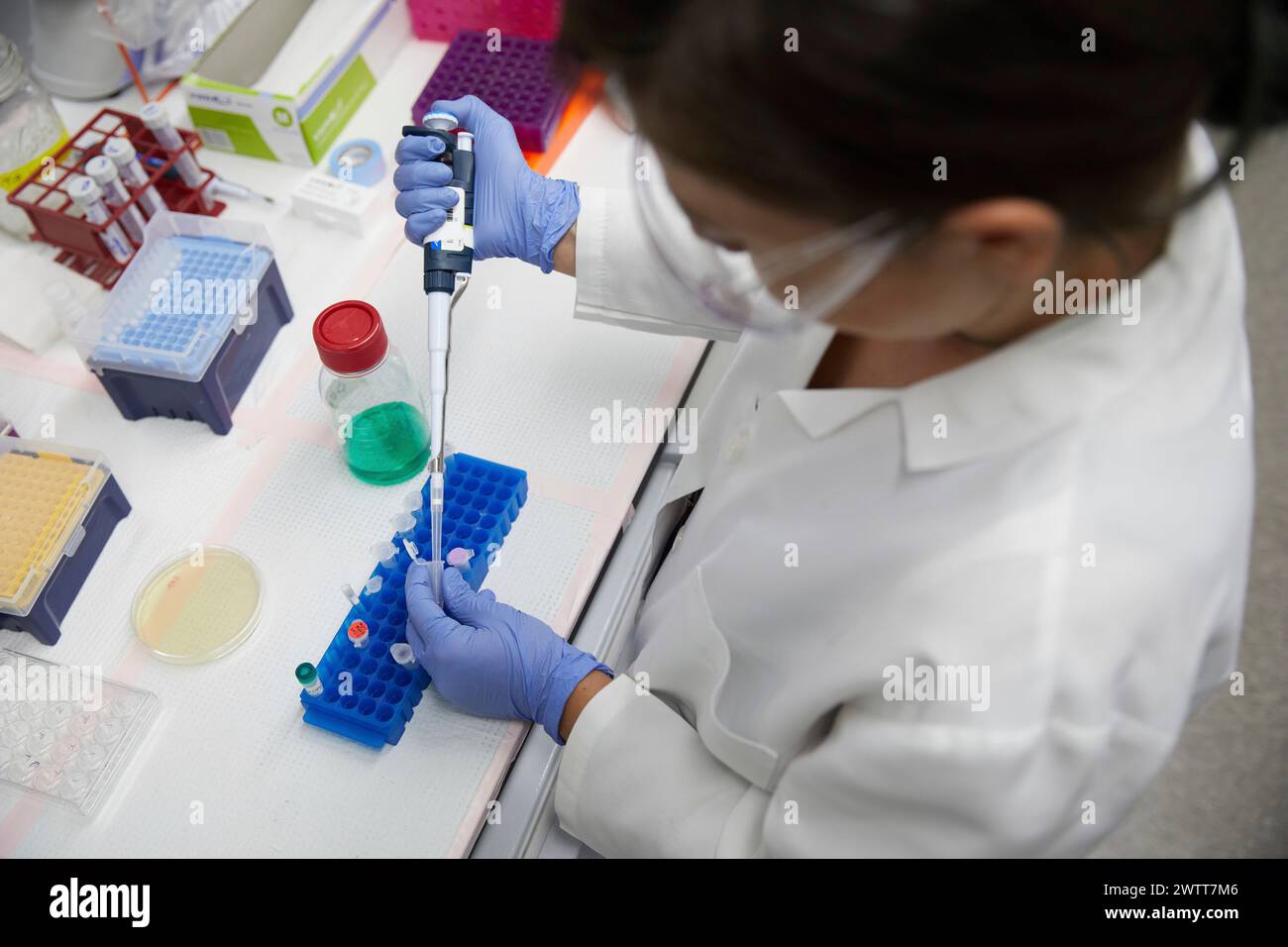 Attractive female scientist testing using test tube blood and peppet ...
