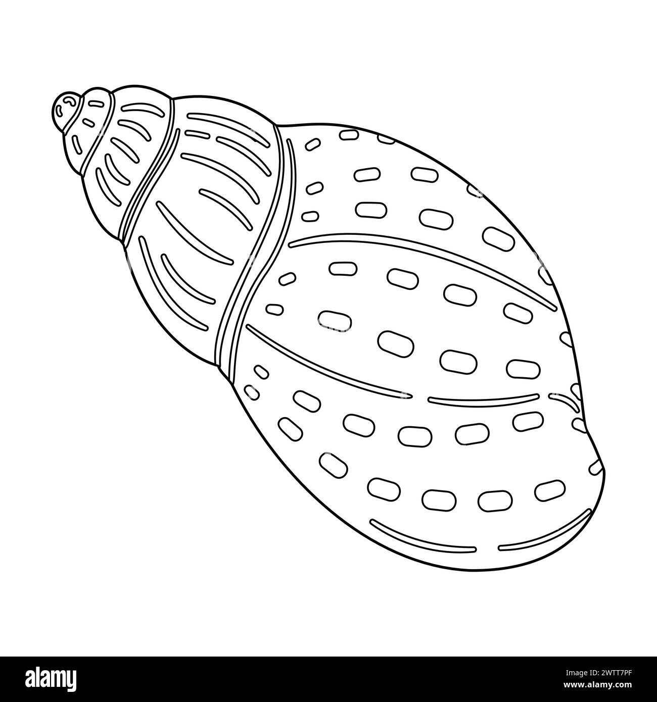 Seashell vector illustration. Black and white outline Seashell Coloring ...