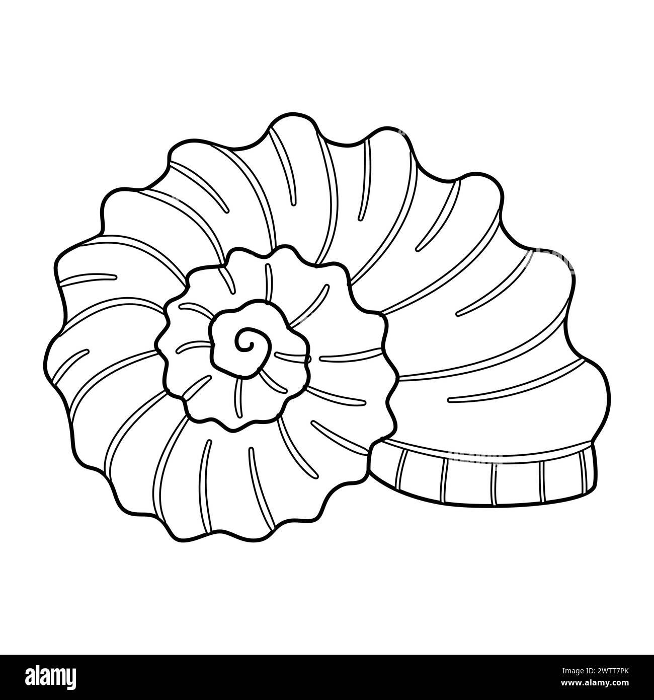 Seashell vector illustration. Black and white outline Seashell Coloring ...