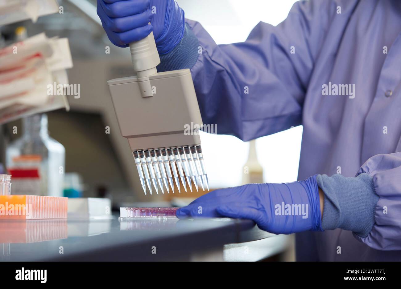Female Labratory scientist testing blood works withing multi peppet ...