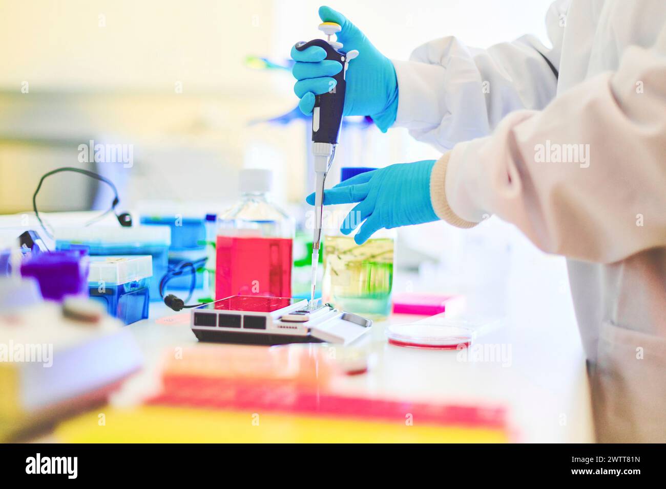 Labratory scientist extracting dna and biological material for testing ...