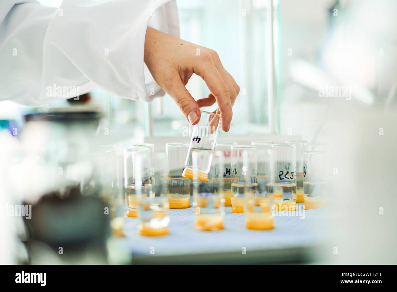 Labratory scientist extracting dna and biological material for testing ...