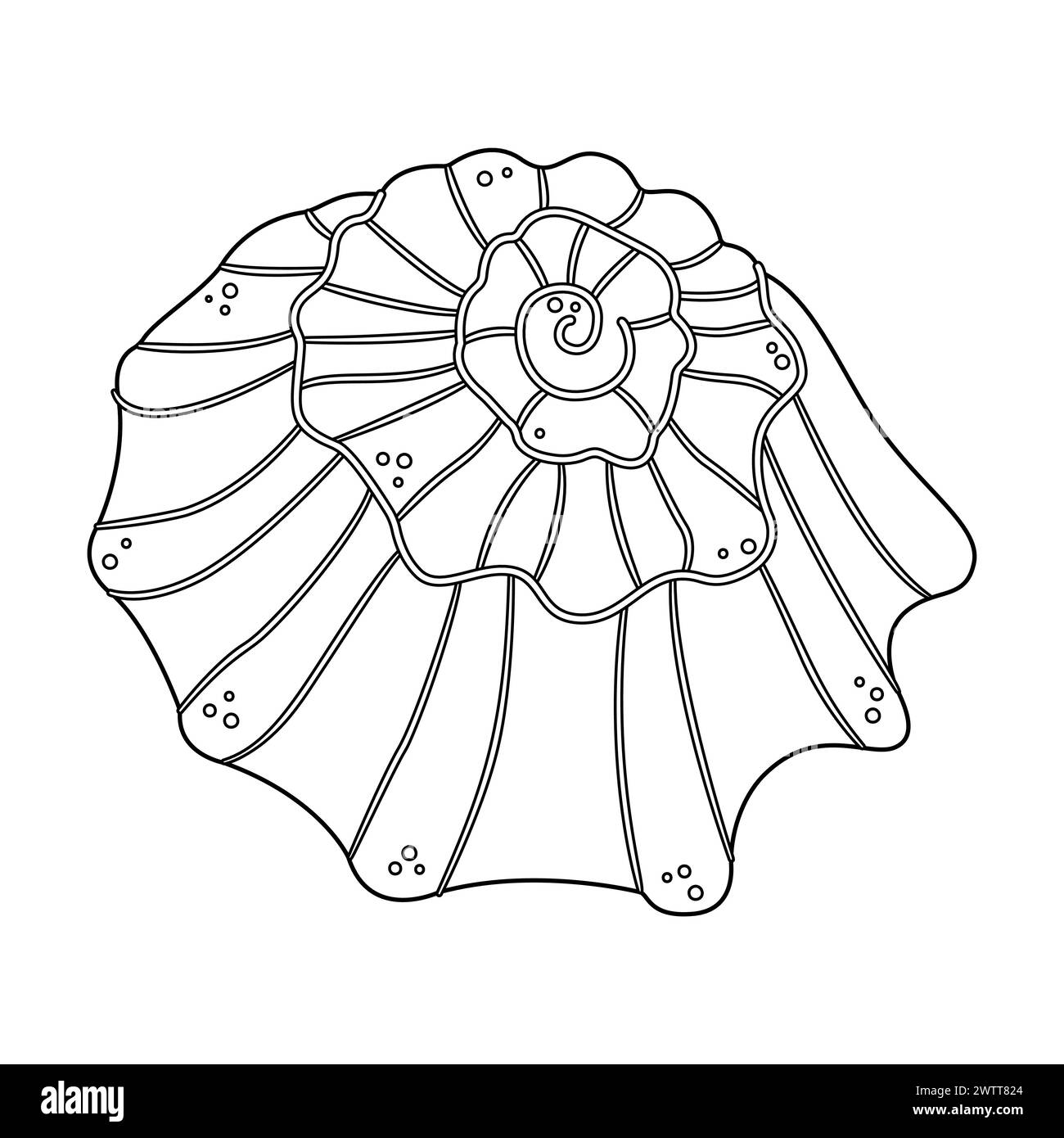 Seashell vector illustration. Black and white outline Seashell Coloring ...