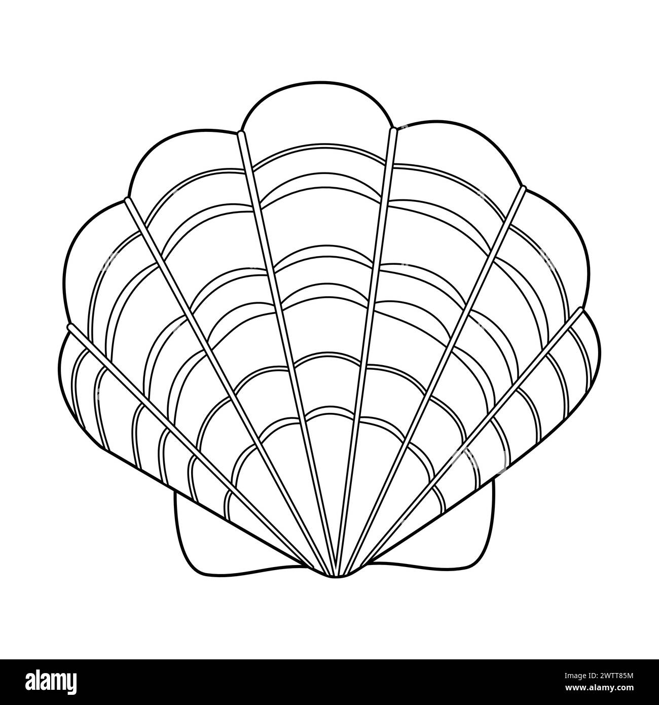 Seashell vector illustration. Black and white outline Seashell Coloring ...