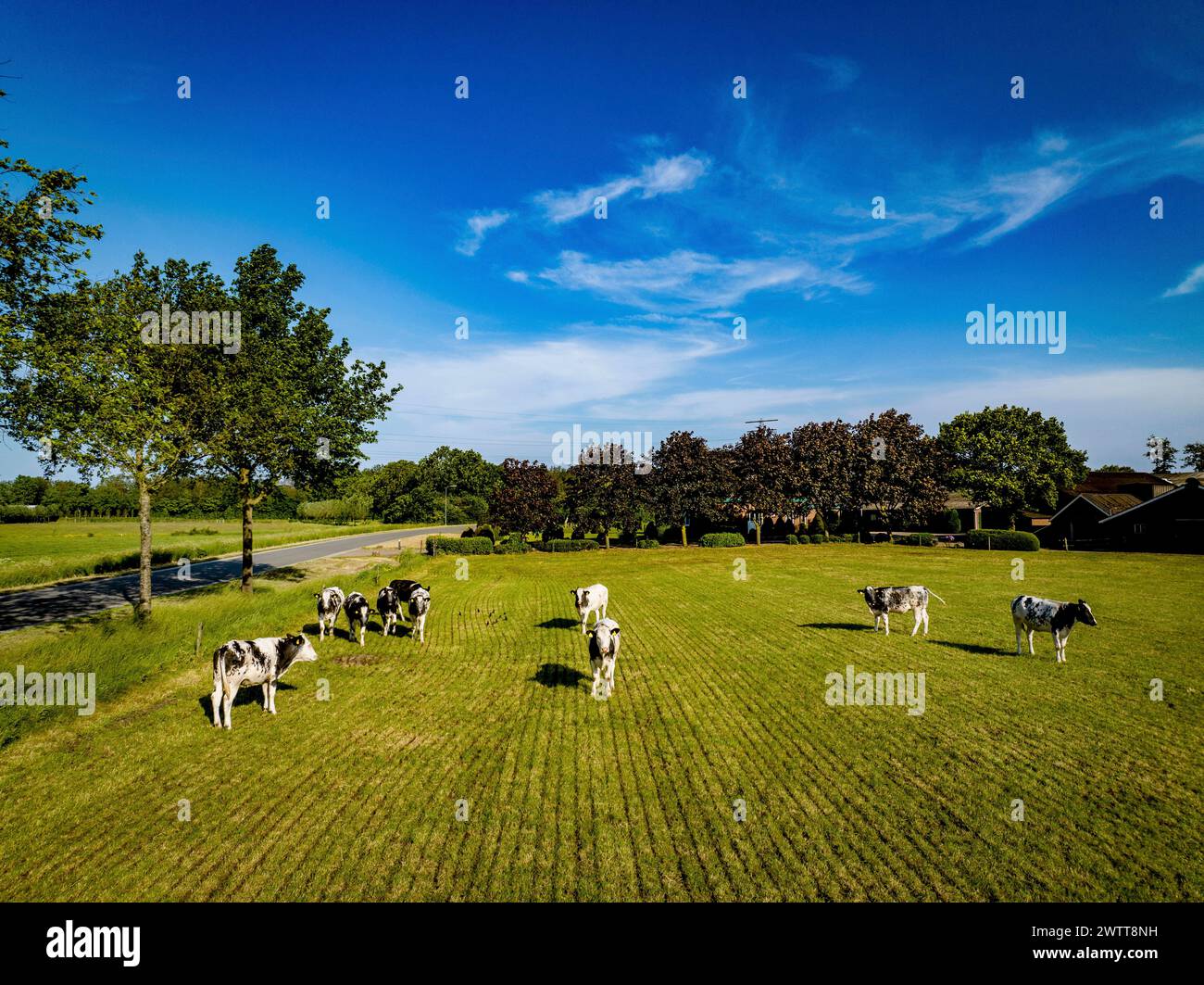 Lush pasture hi-res stock photography and images - Alamy