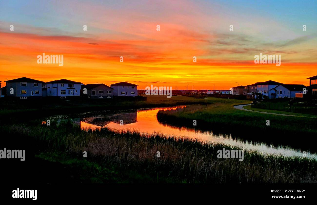 Marshland silhouette hi-res stock photography and images - Alamy