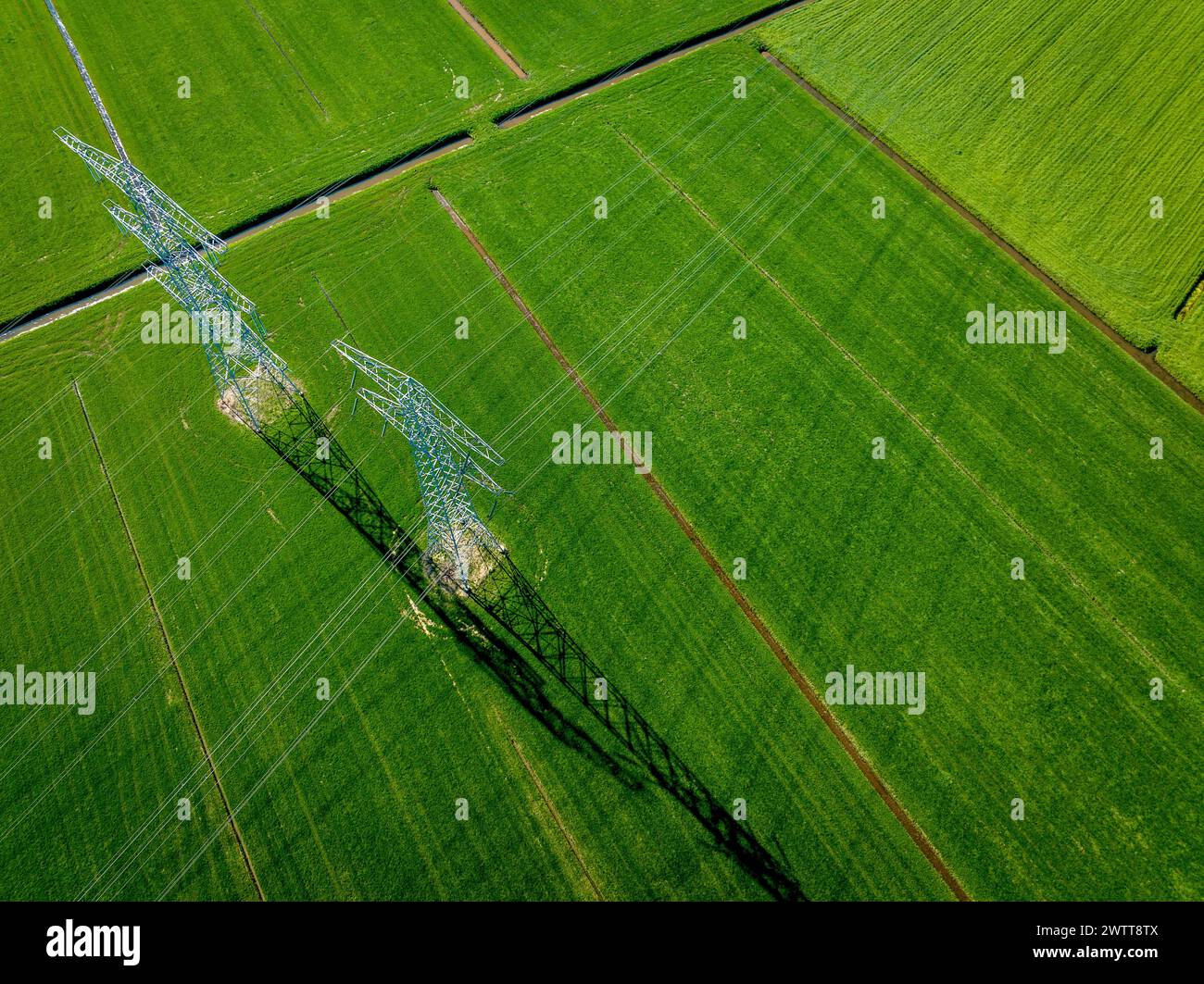Bird'seye view of power lines cutting through a green field Stock Photo ...