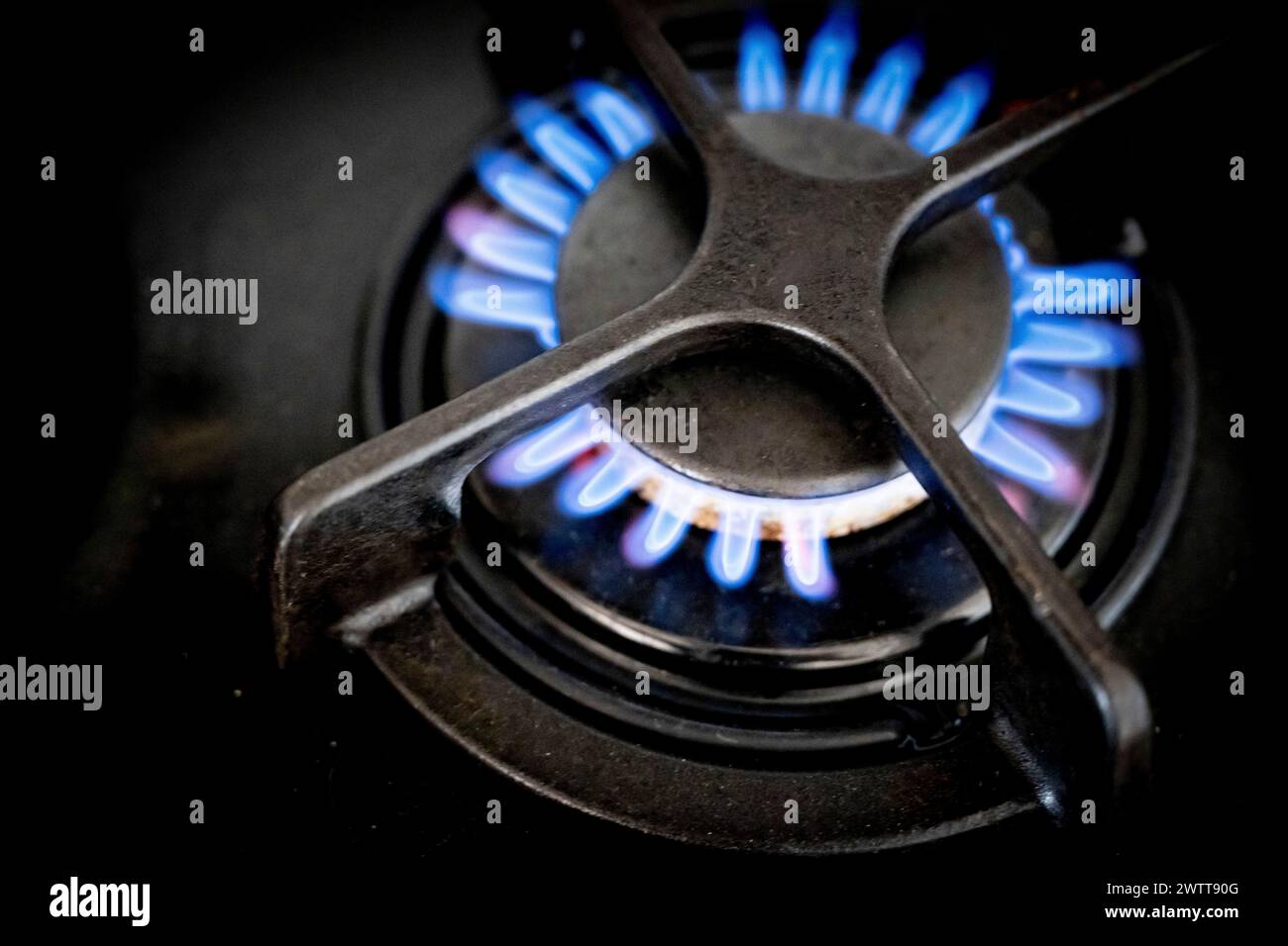 Closeup of a blue flame on a gas stove burner Stock Photo - Alamy