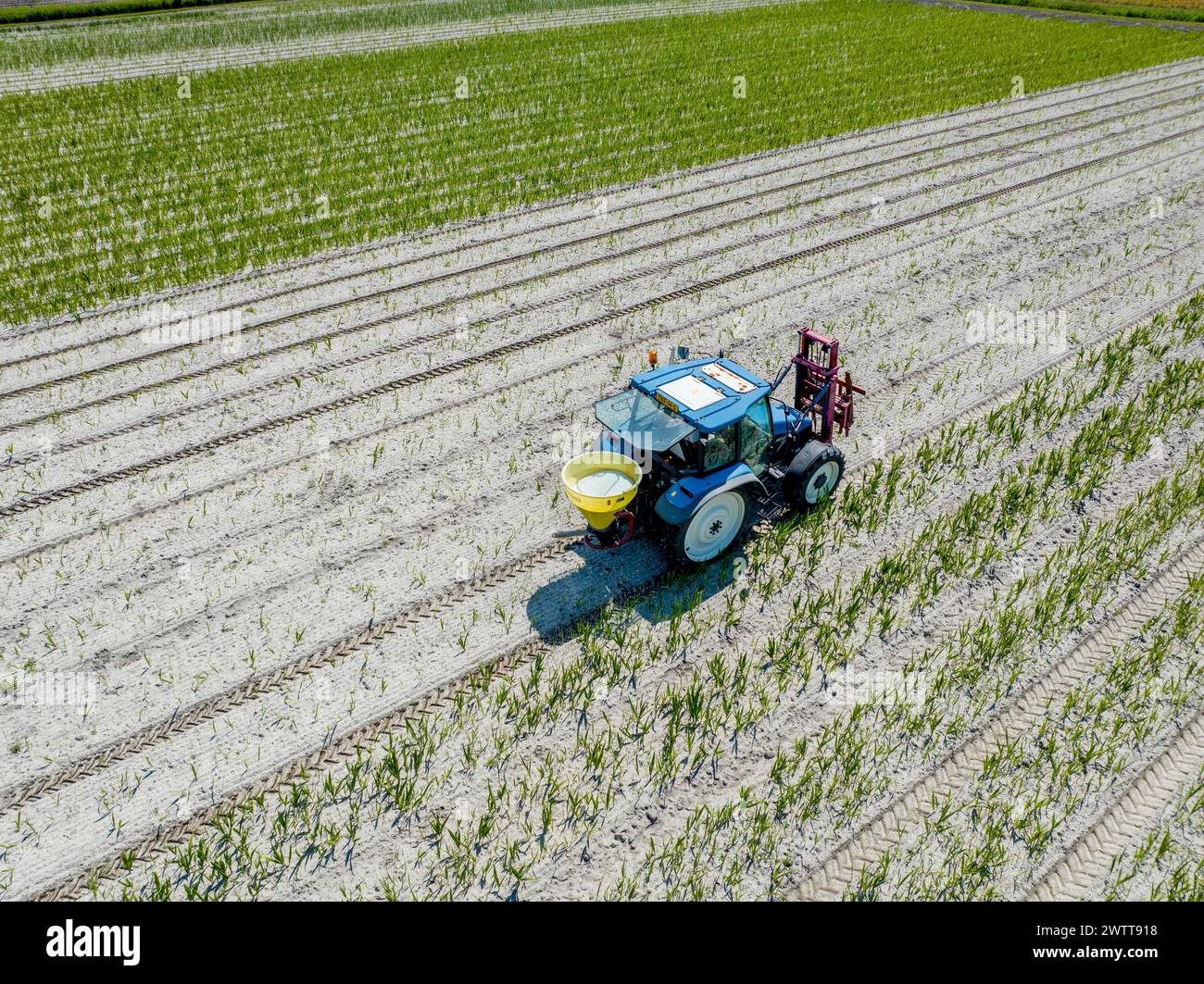 Aerial view of a tractor fertilizing crops in a lush green field Stock ...