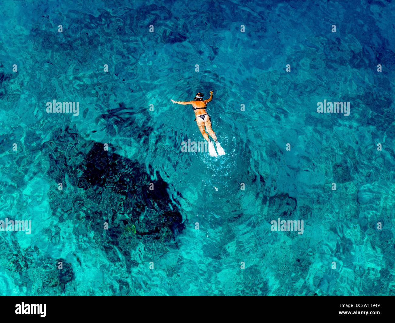 Underwater view tropical waters in hi-res stock photography and images ...