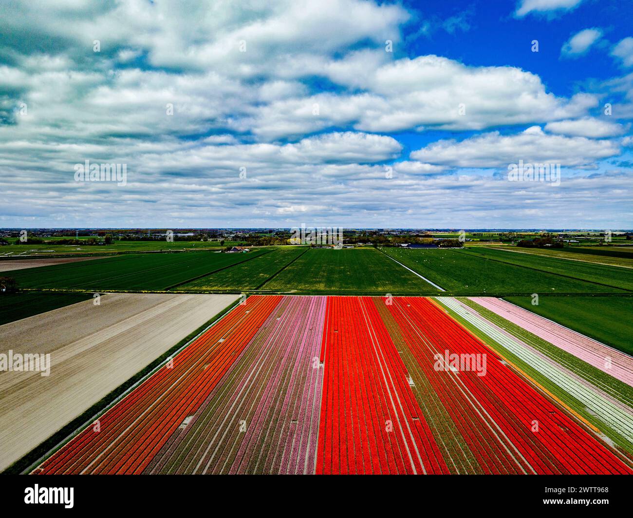Vibrant and dynamic hi-res stock photography and images - Alamy