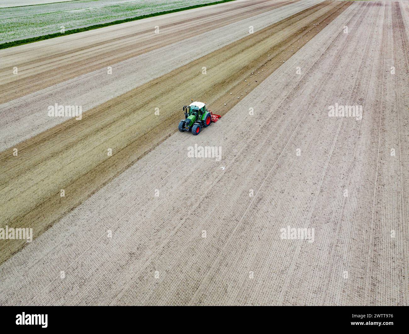 Farmer in his tracker plowing lines in his field ready for harvest ...