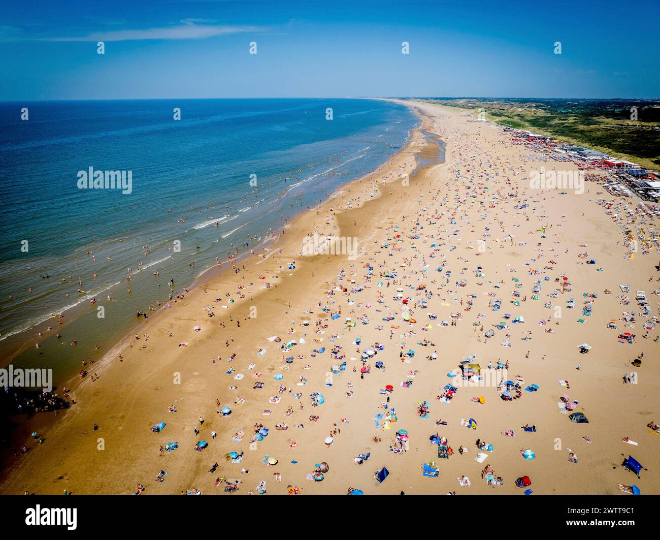 A bustling beach day from above, with sunbathers and swimmers enjoying ...