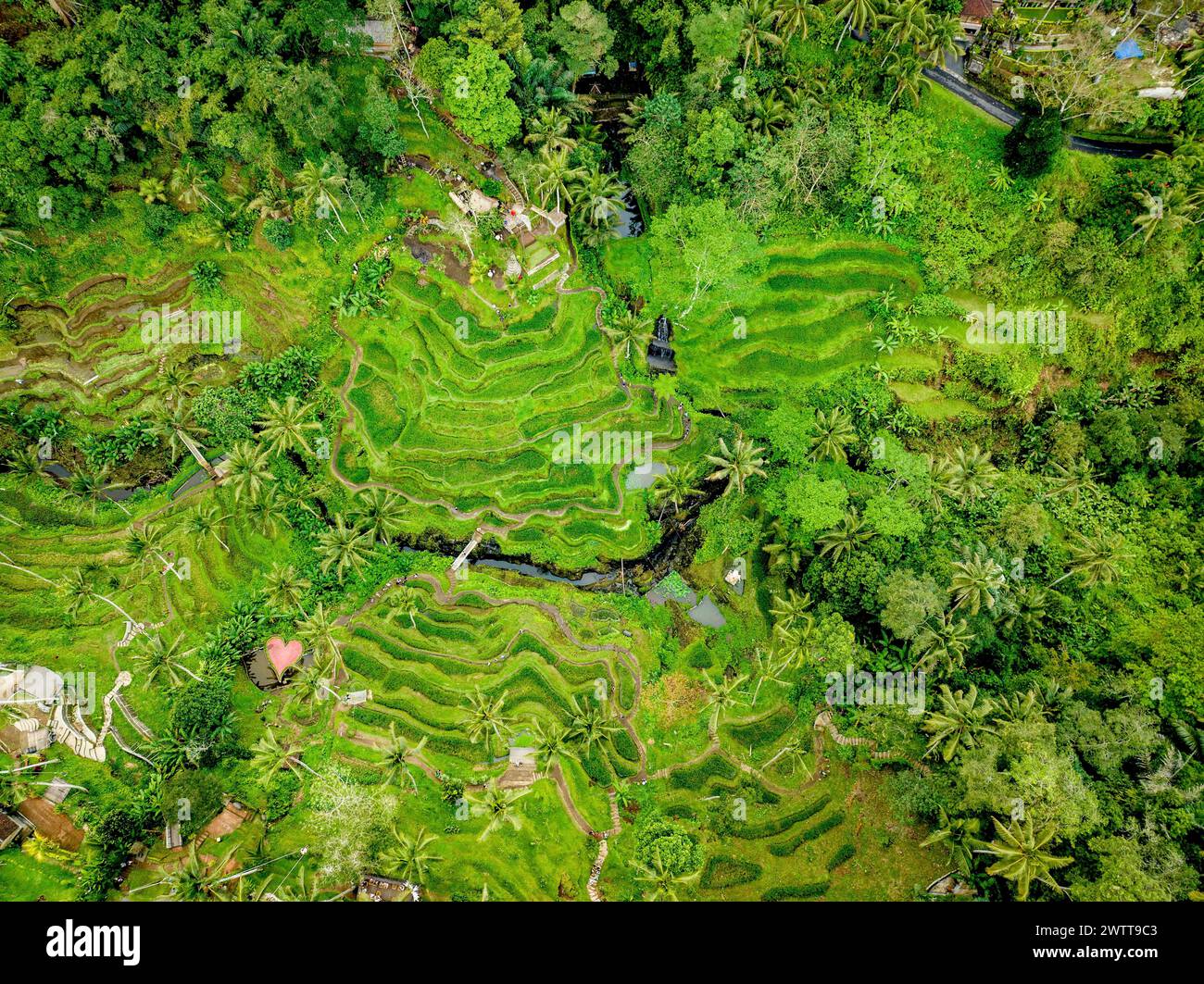 Green lush fields agriculture hi-res stock photography and images - Alamy