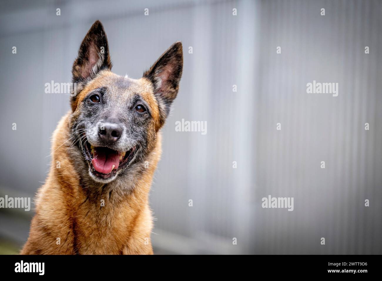 Camer focus hi-res stock photography and images - Alamy