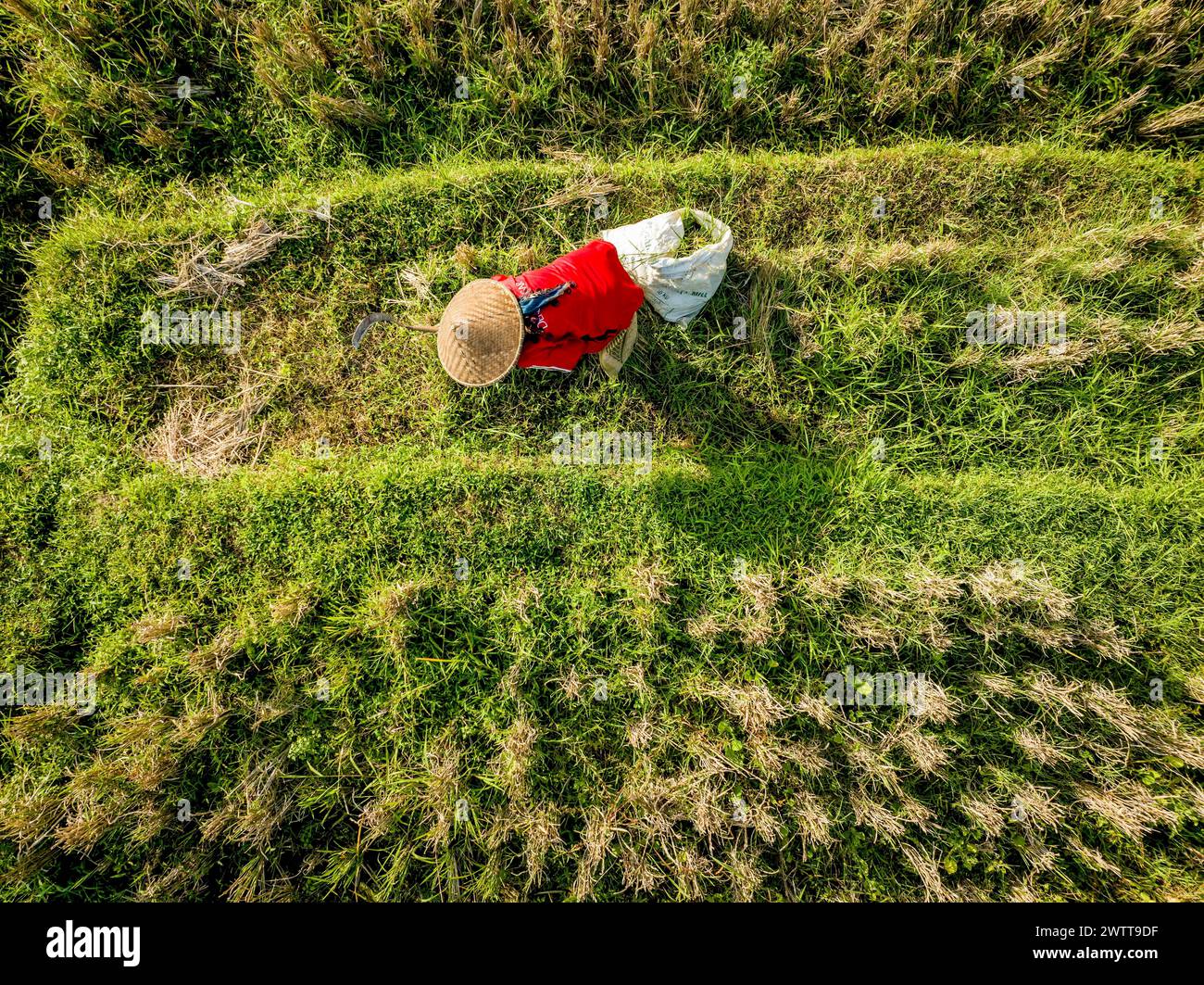 Farmer fields hi-res stock photography and images - Alamy