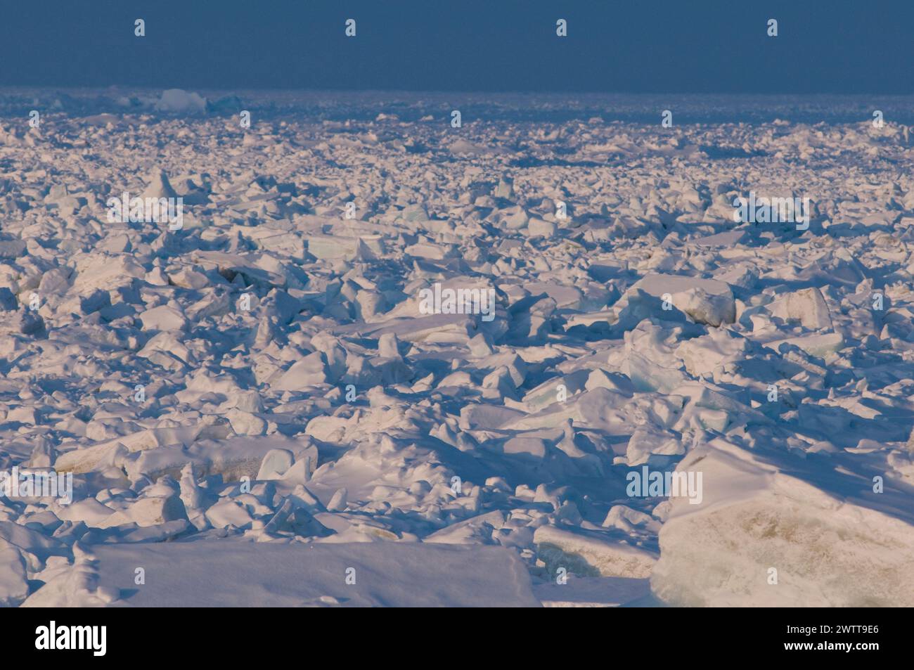 Seascape of rough pack ice over the Chukchi sea in springtime, off ...