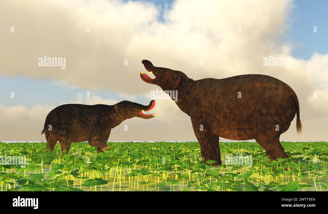 Platybelodon was herbivorous elephant mammal that lived in Africa ...