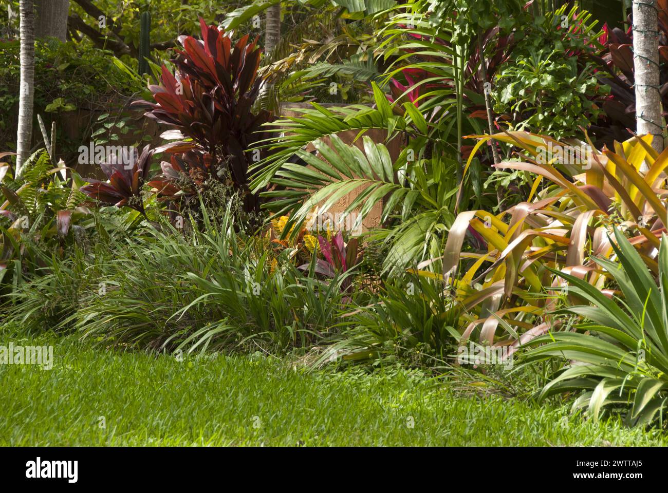Landscaping miami hi-res stock photography and images - Alamy