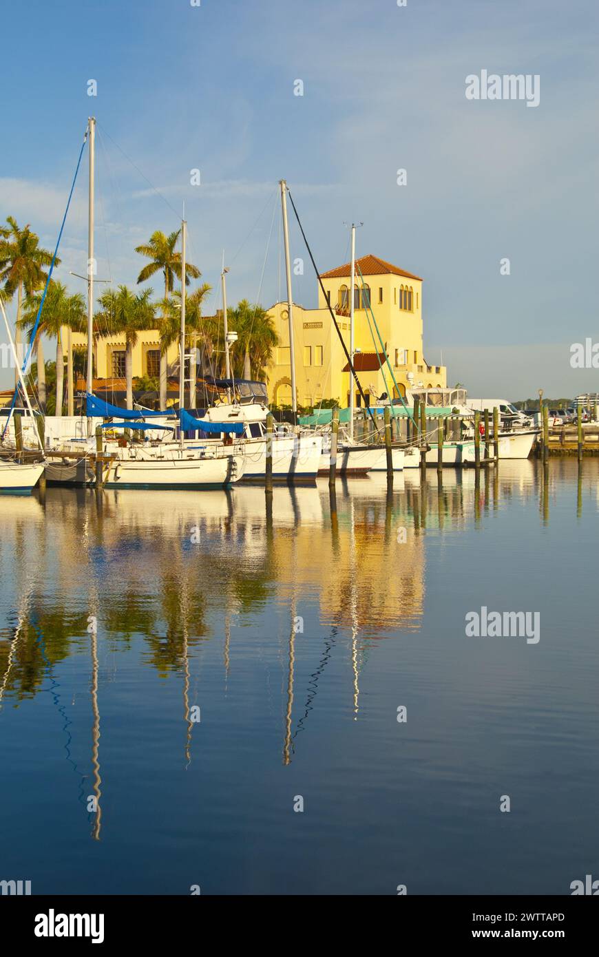 palm trees reflected in Manatee River in Bradenton, Florida Stock Photo ...