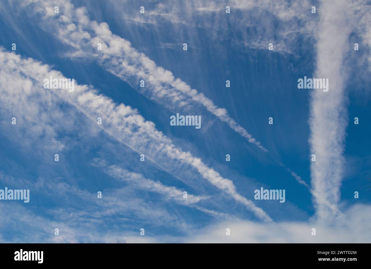 jet trails in Florida sky Stock Photo - Alamy