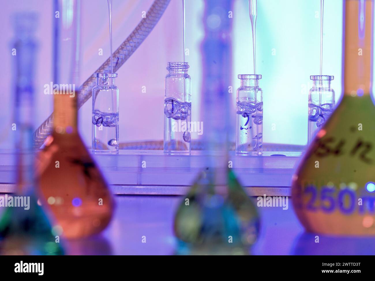 Science in colors: laboratory glassware in hues of purple and blue ...