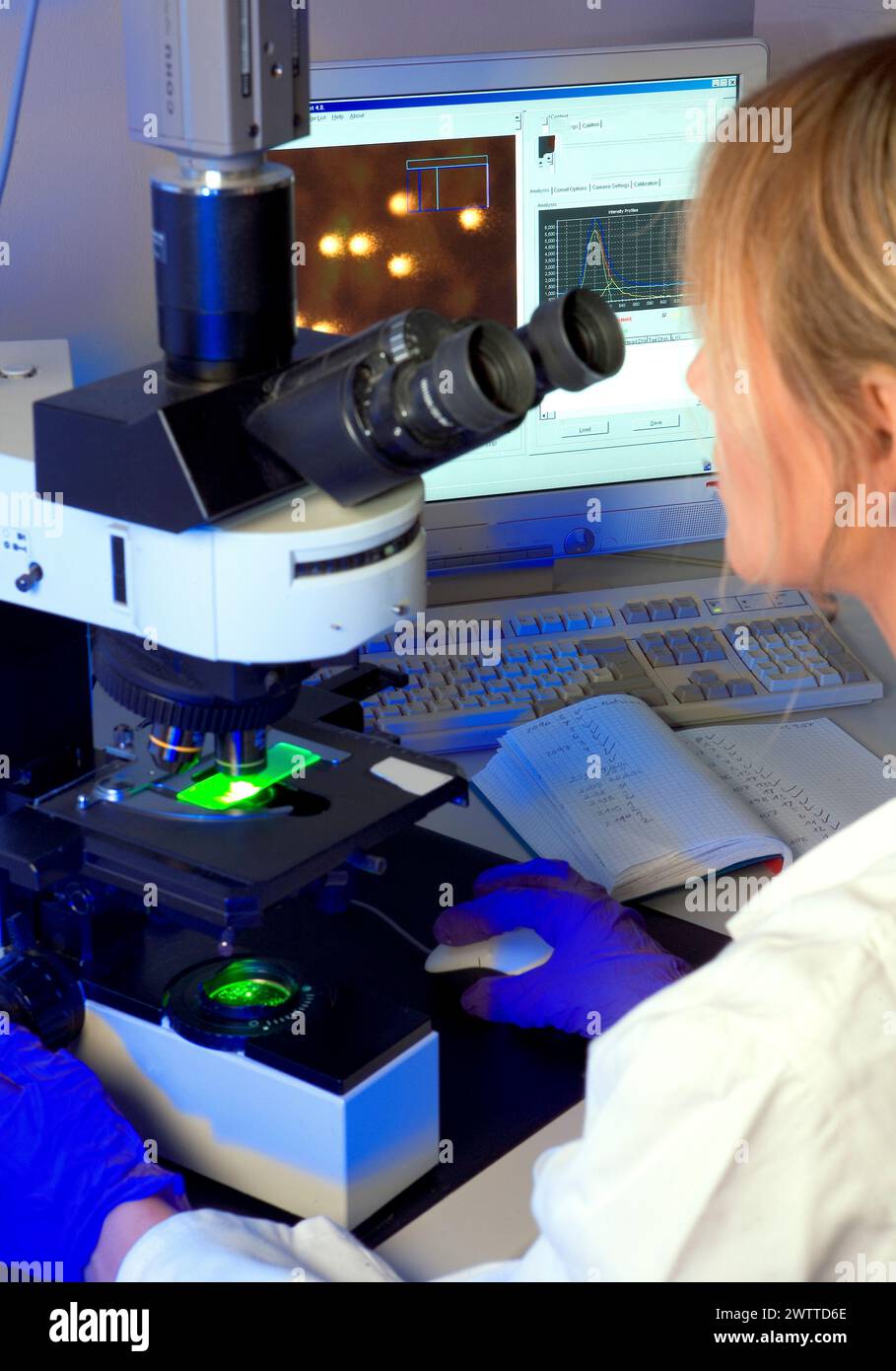 Under the microscope hi-res stock photography and images - Alamy