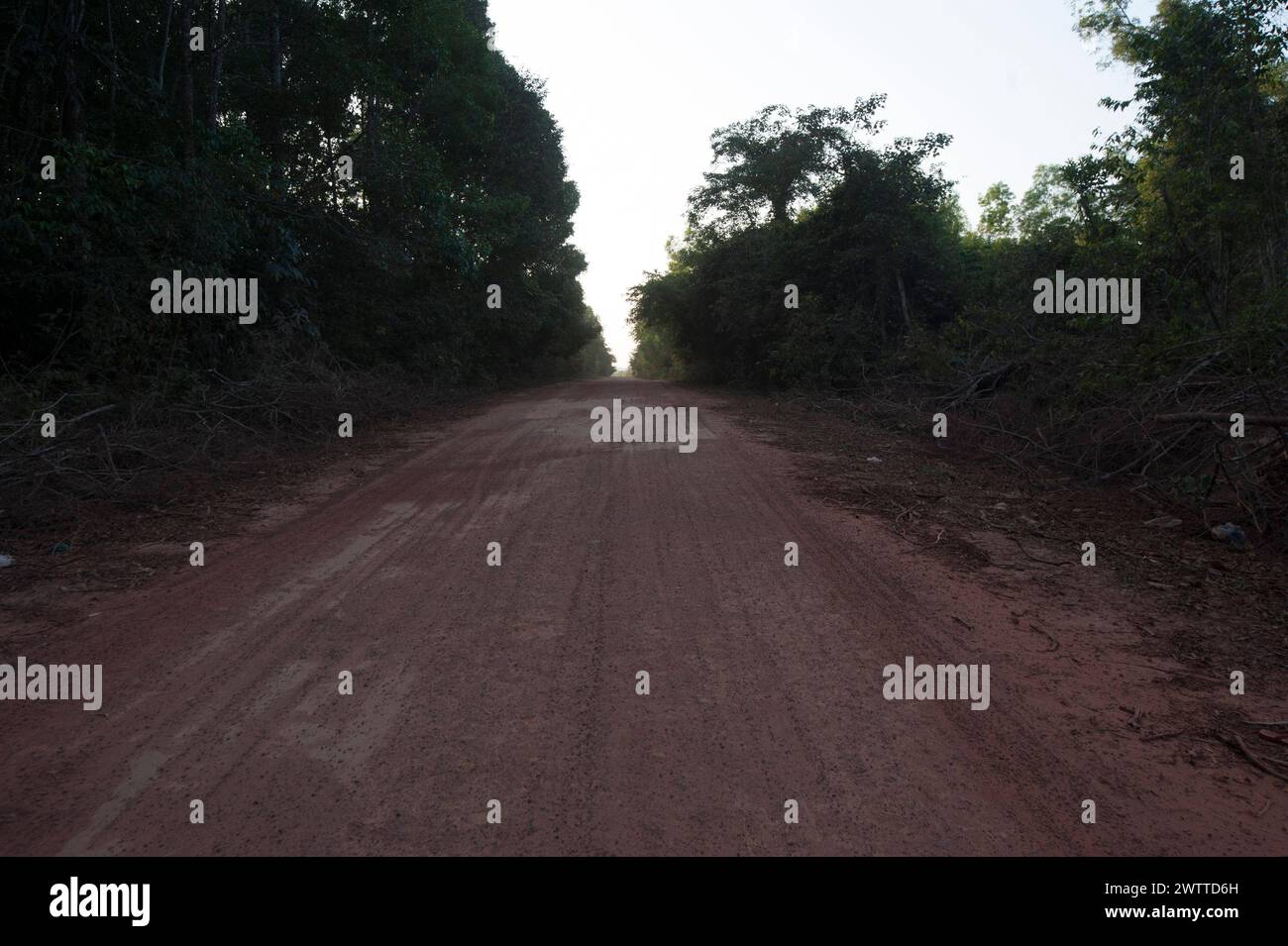 a traffic route or transport route as infrastructure for mobility ...