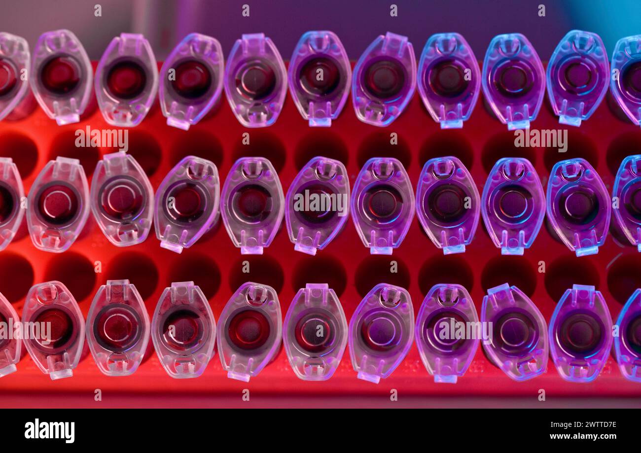 Rows of colorful laboratory test tubes in a research facility Stock ...