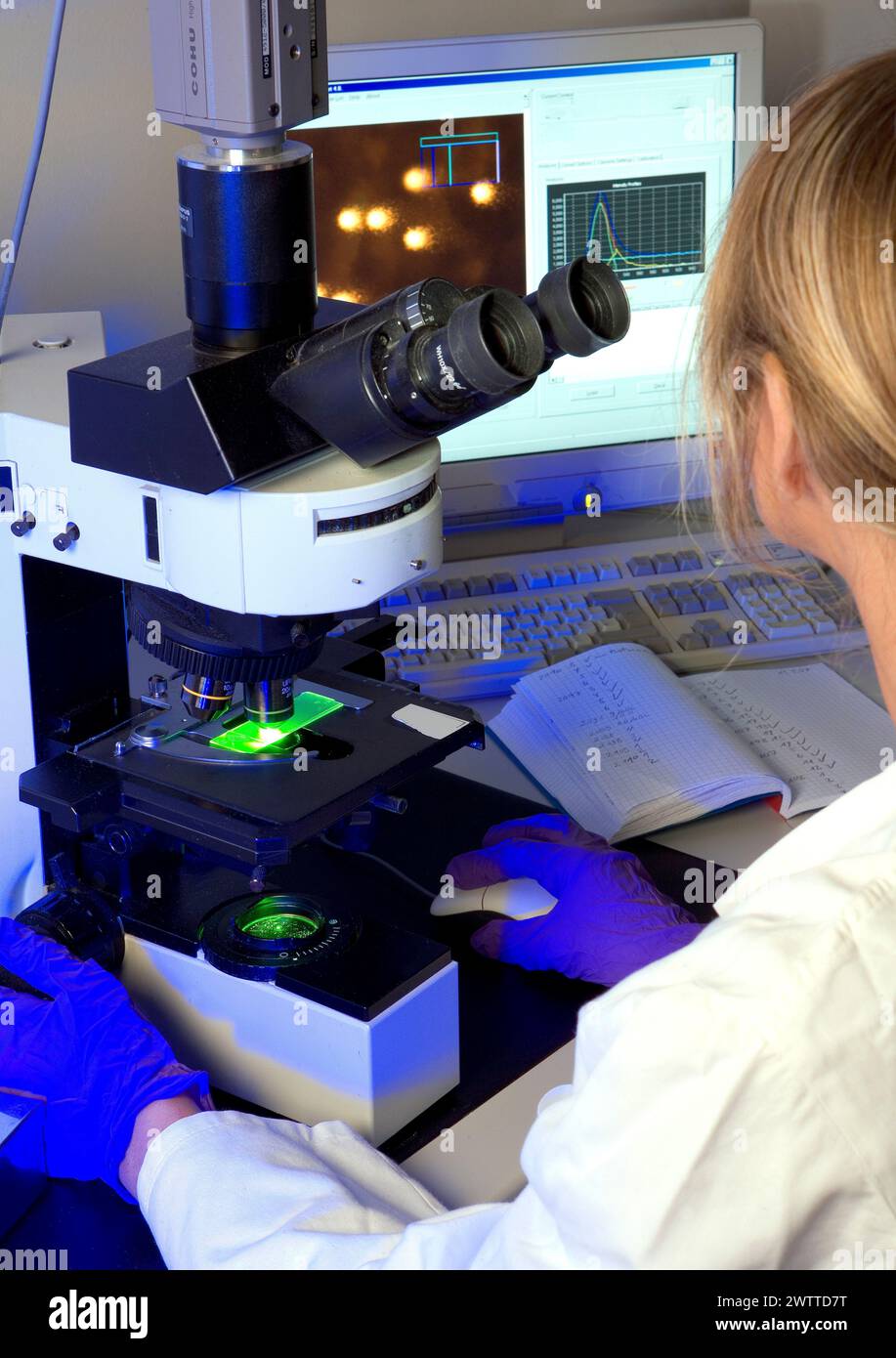 Scientist examining samples under a microscope in a laboratory Stock Photo - Alamy
