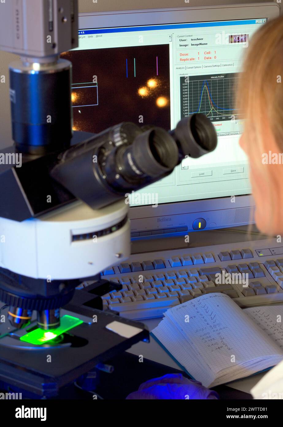 Scientist examining samples under a microscope with computer analysis ...