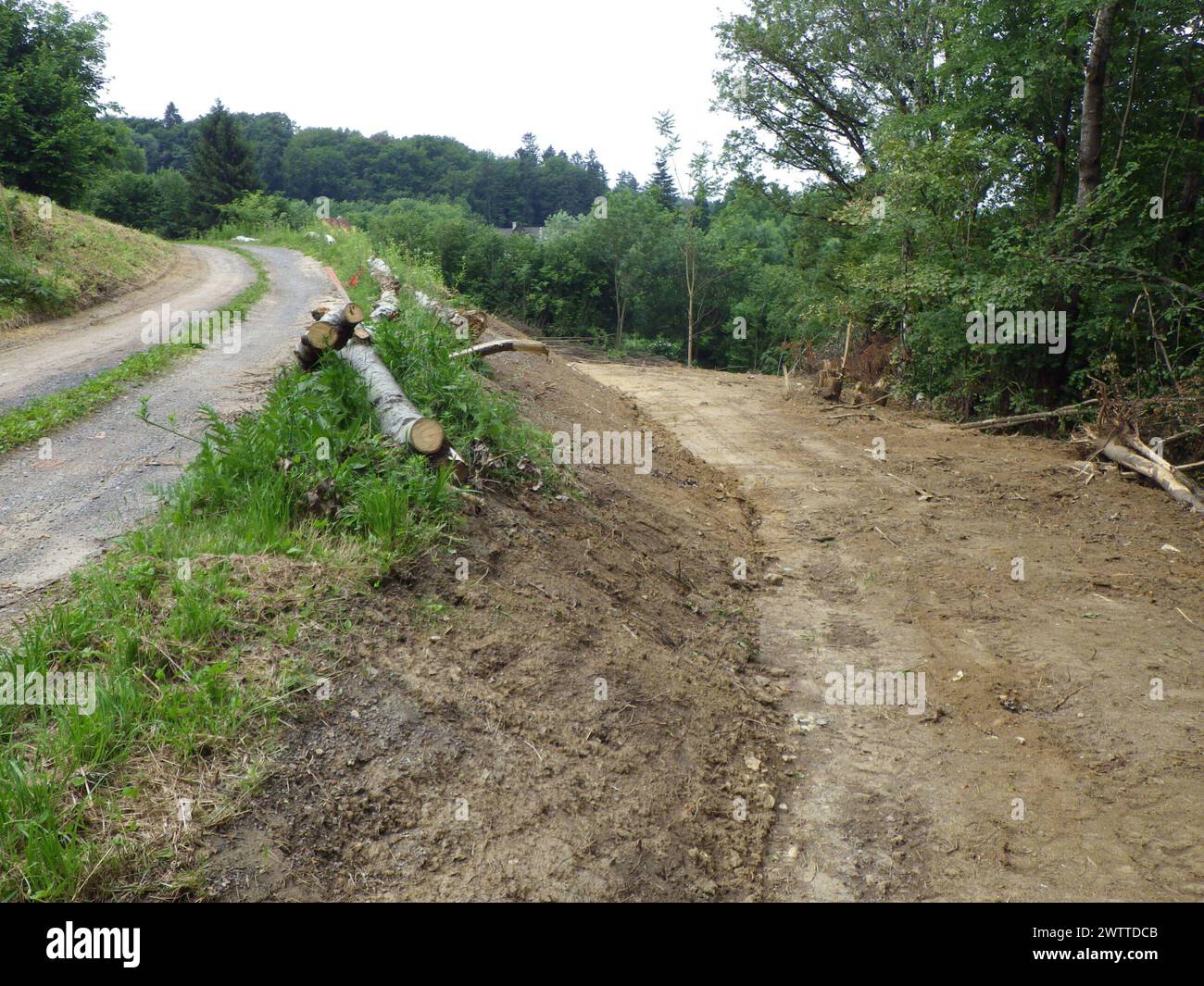 a traffic route or transport route as infrastructure for mobility ...