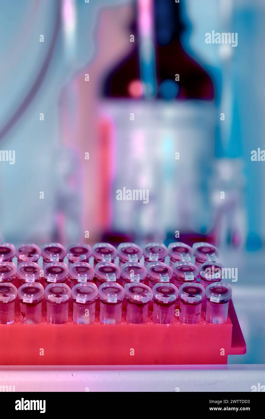 Scientific research in progress, with a focus on a rack of test tubes ...