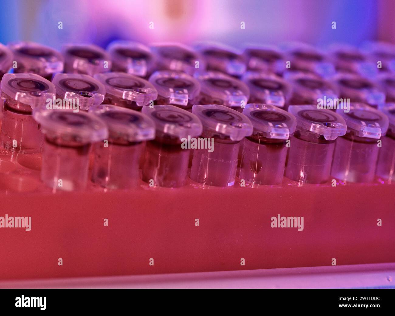 Rows of samples hi-res stock photography and images - Alamy