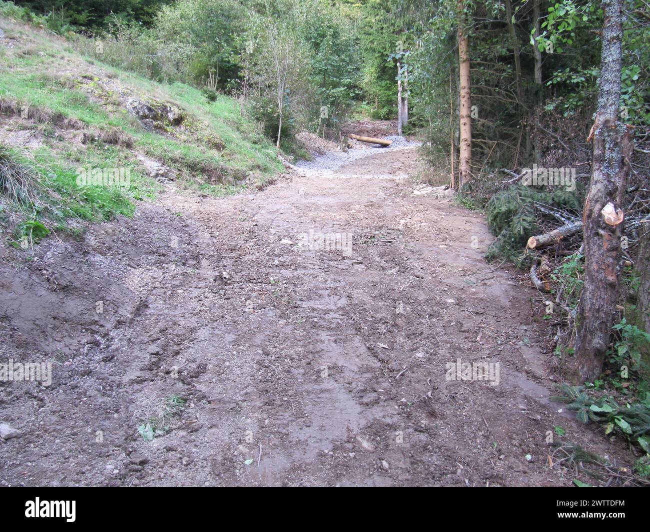 a traffic route or transport route as infrastructure for mobility ...