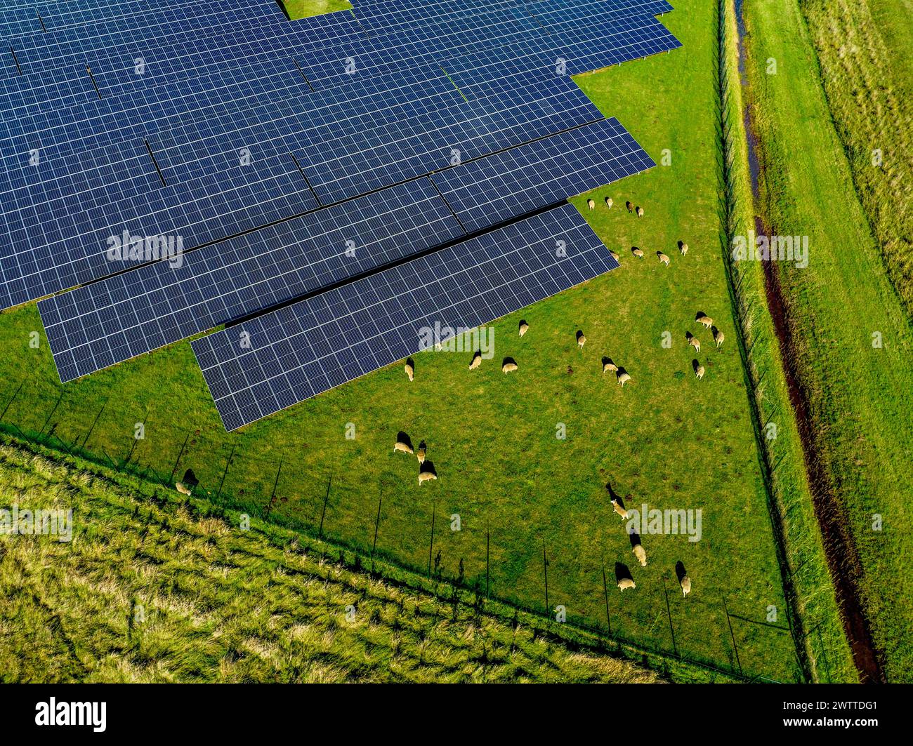Solar fields hi-res stock photography and images - Alamy