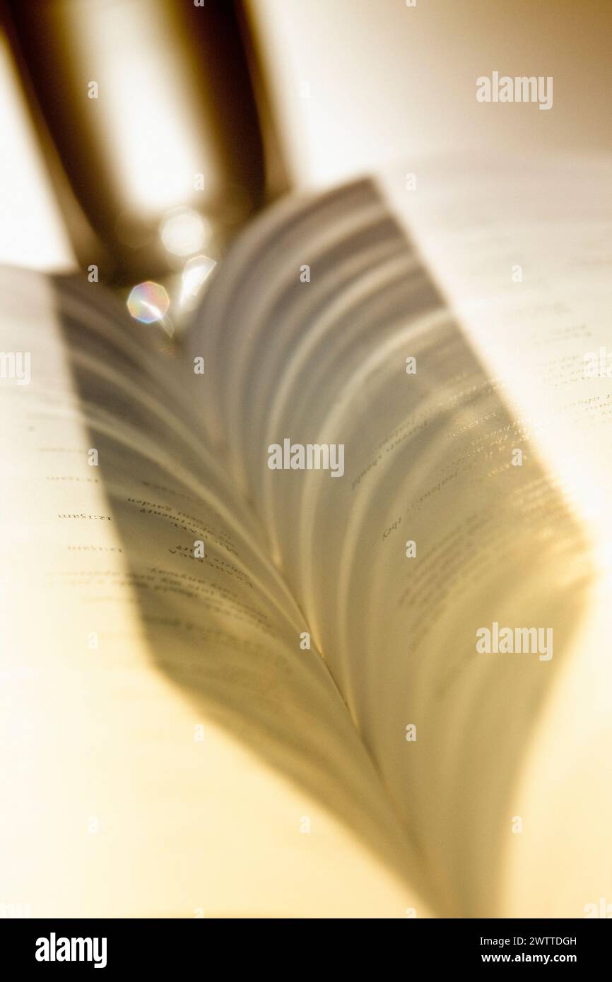 Open book pages hi-res stock photography and images - Alamy