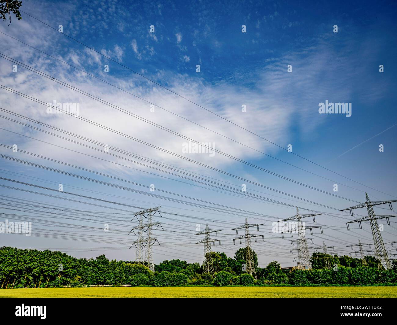 Power lines stretching across hi-res stock photography and images - Alamy