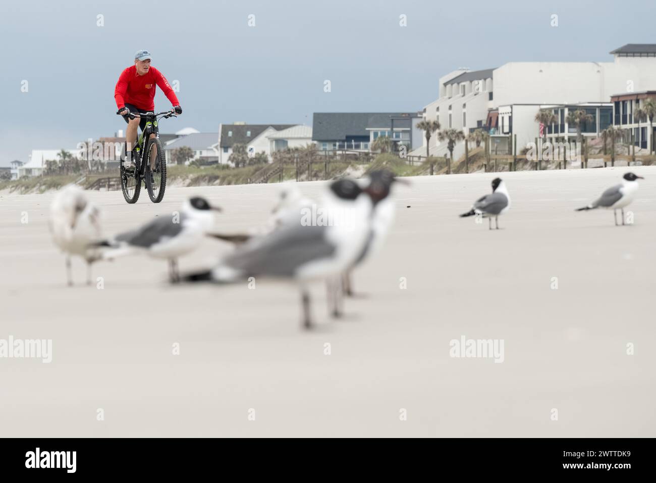 Early morning bike ride on the beach in Jacksonville Beach, Florida ...